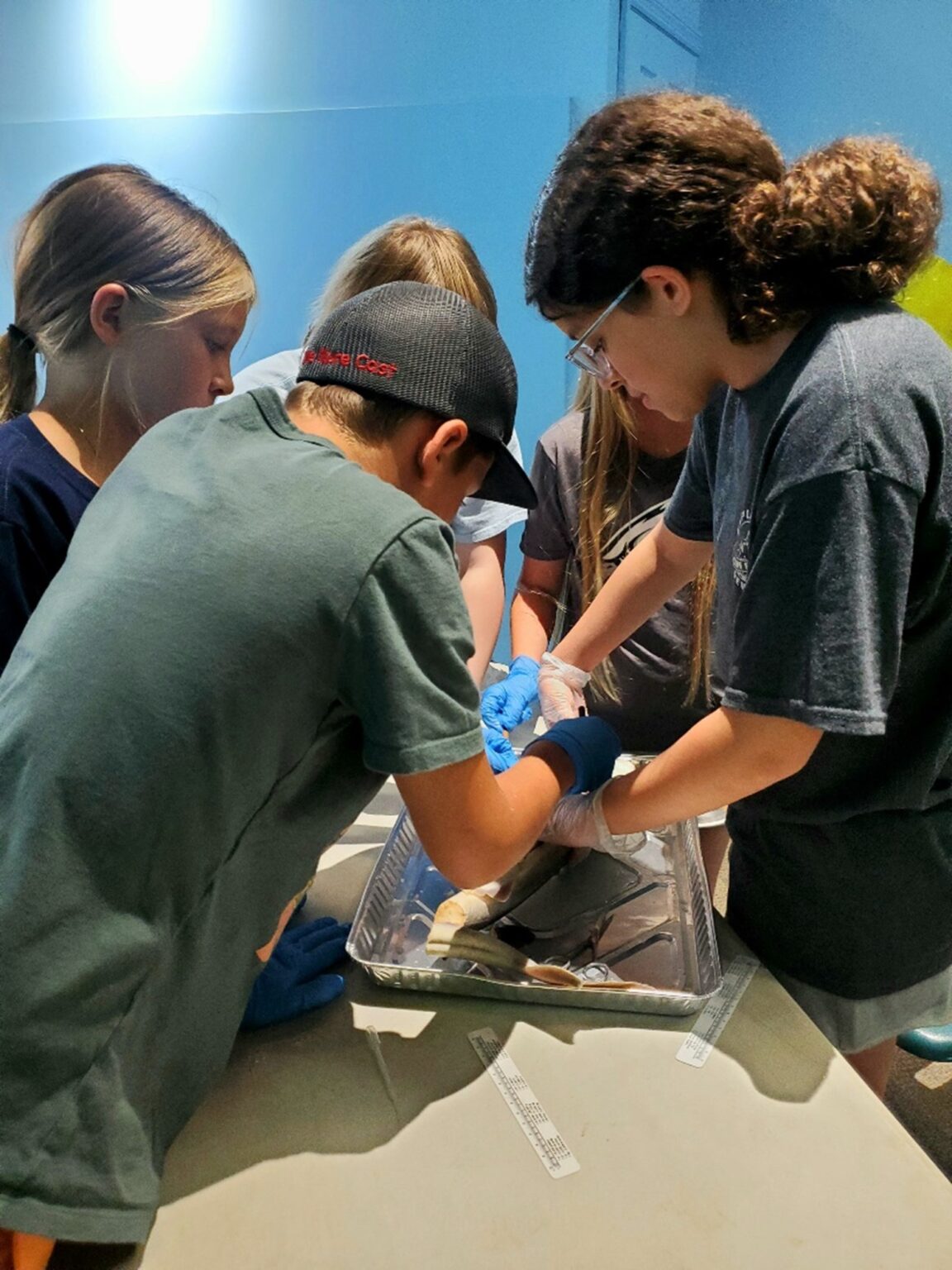 Teen Programs – Center for Aquatic Sciences