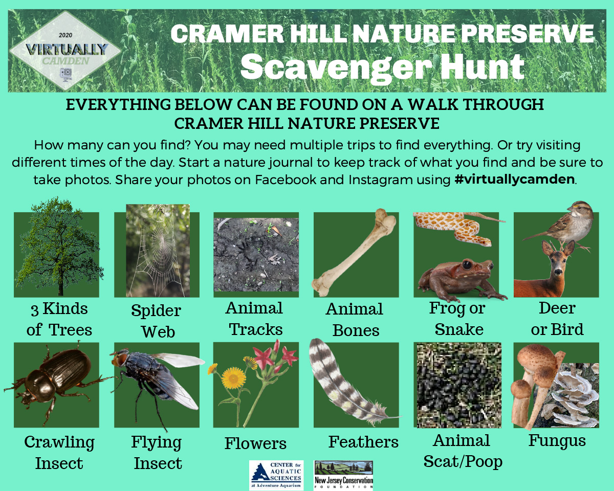 Virtually Camden – Center for Aquatic Sciences