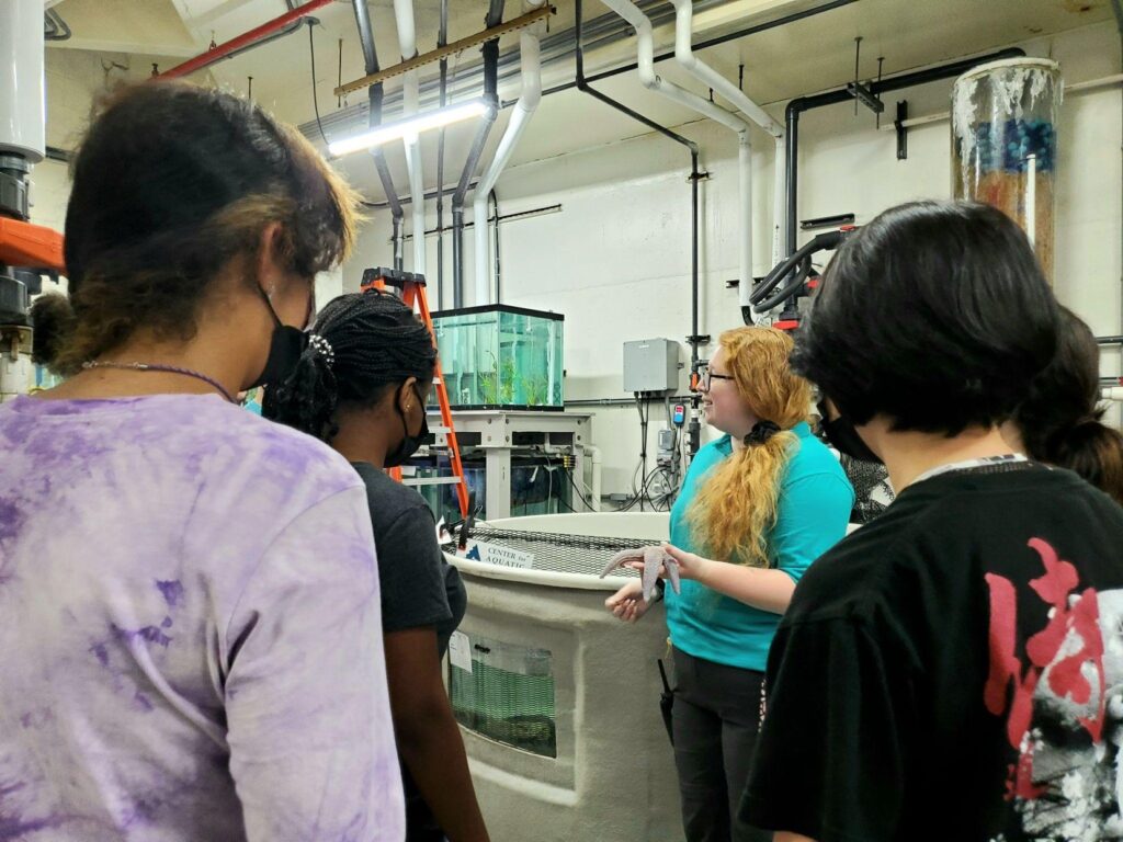 Teen Programs – Center for Aquatic Sciences