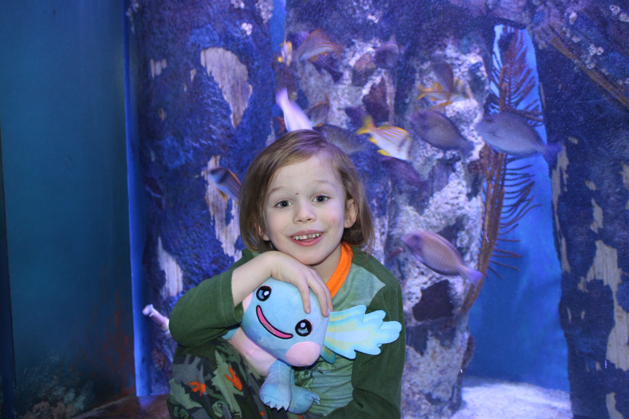 Overnight Programs – Center for Aquatic Sciences