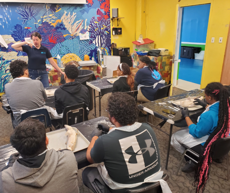 Careers – Center for Aquatic Sciences