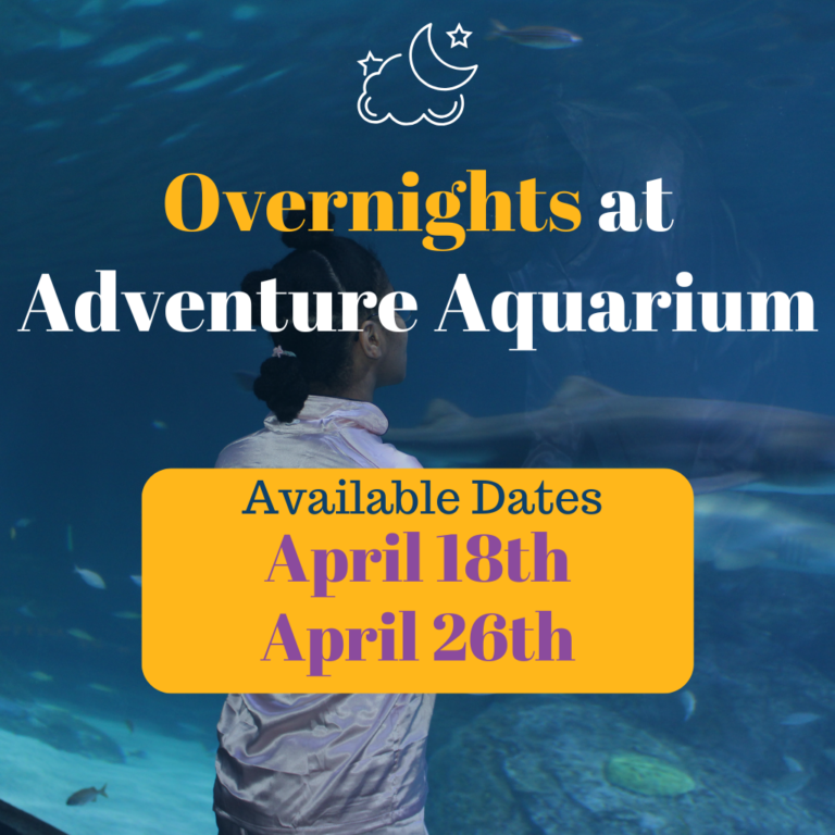 Center for Aquatic Sciences